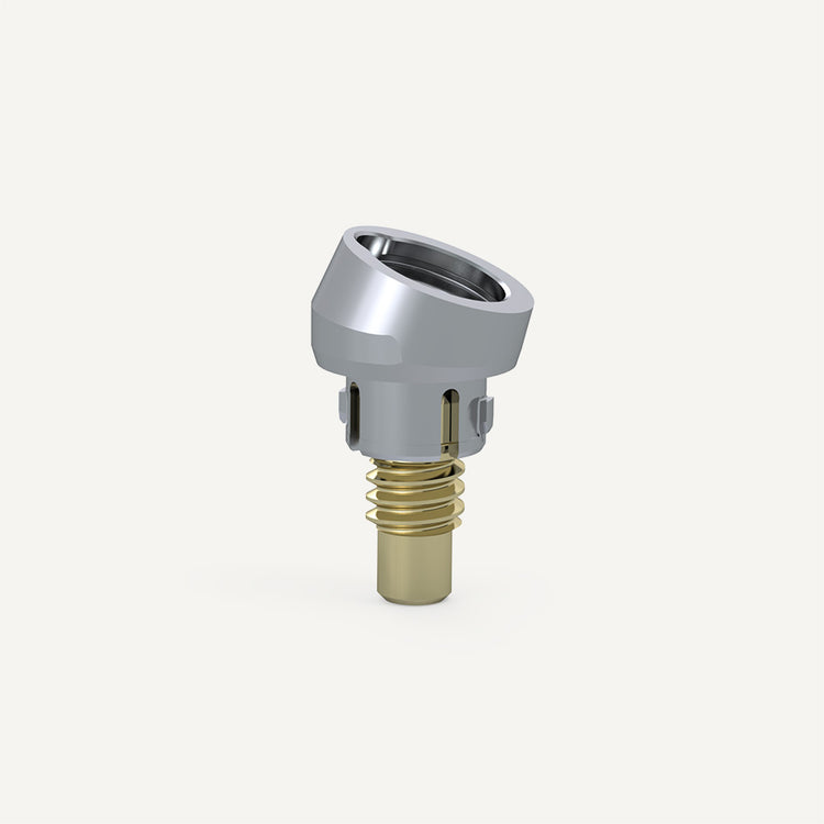 Access Abutments – Neoss US