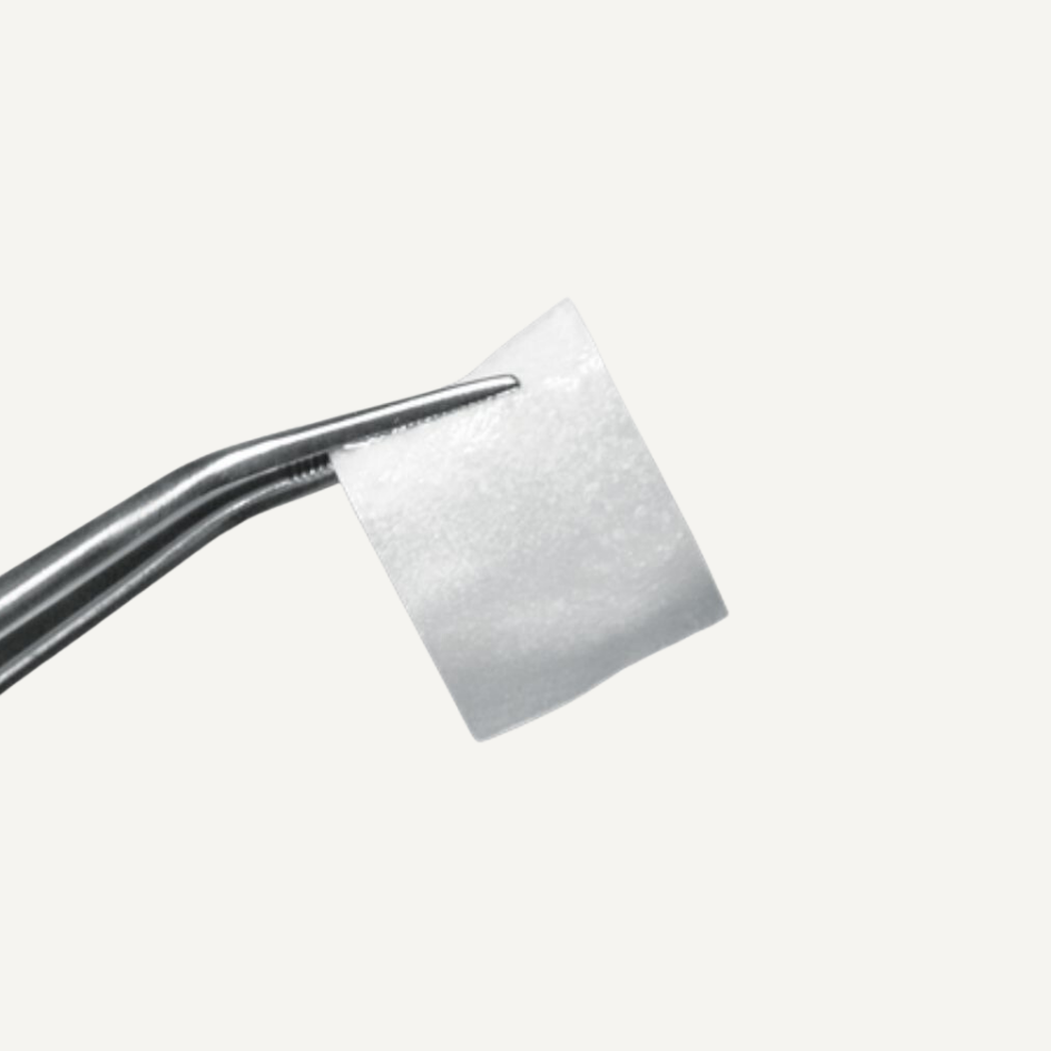 Neoss Inc. – Neoss US