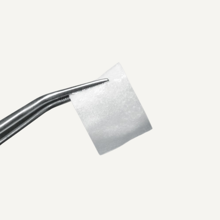 Neoss Inc. – Neoss US